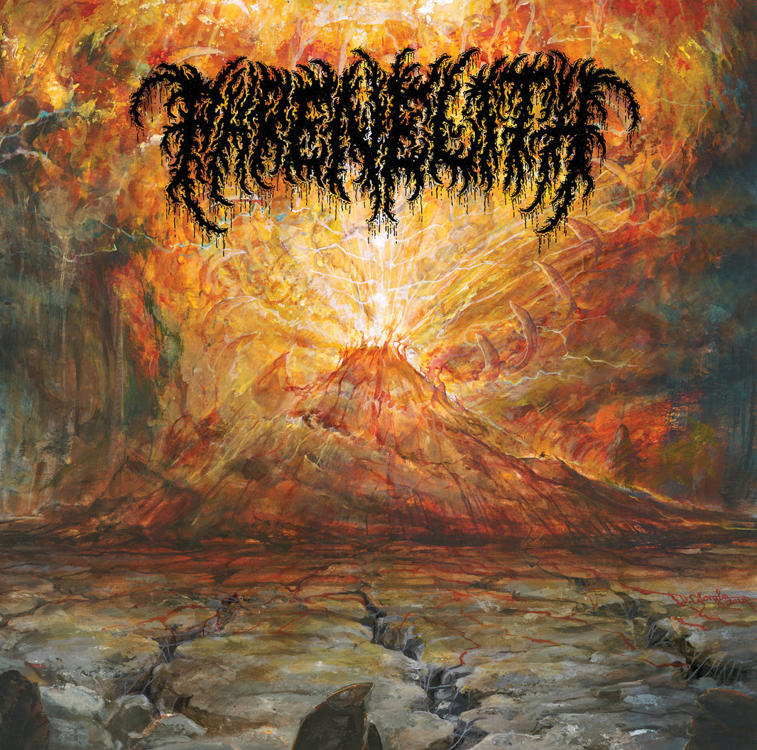 Repressed Records - Record Store in Newtown, Sydney, Australia.